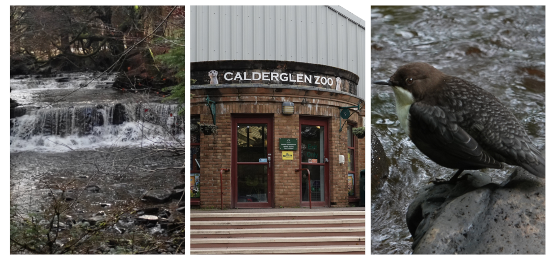 Calderglen Country Park-Torrance Estate – Incredibly Wild East Kilbride
